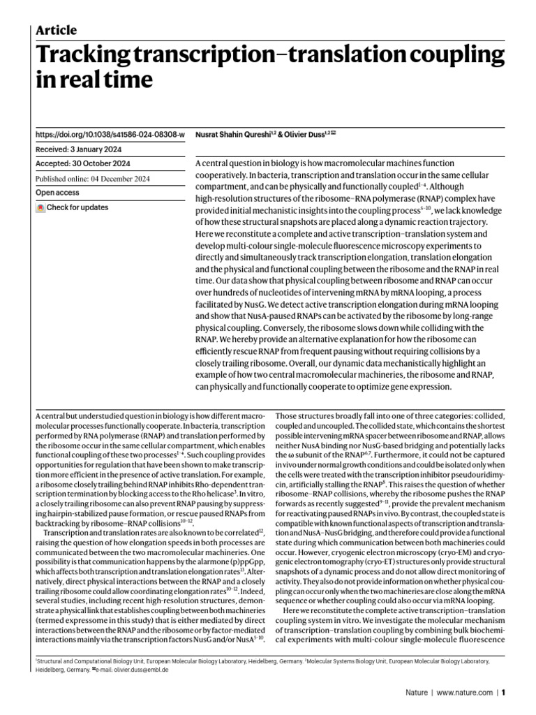 Tracking Transcription-Translation Coupling in Real Time: Article | PDF ...