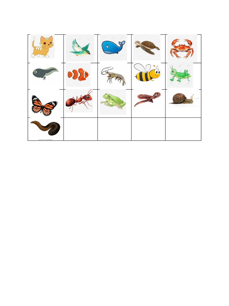 gambar binatang 2 | PDF