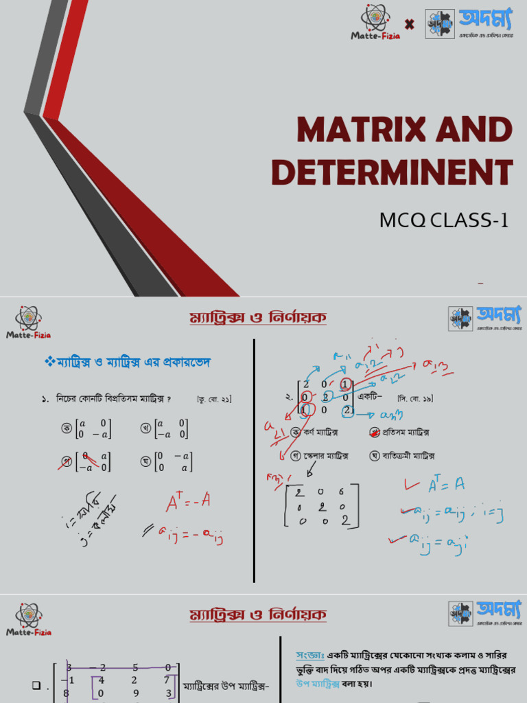 MATRIX - AND - DETERMINENT MCQ Class 1 | PDF