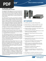 DM2100 Datasheet | PDF | Computer Network | Network Switch