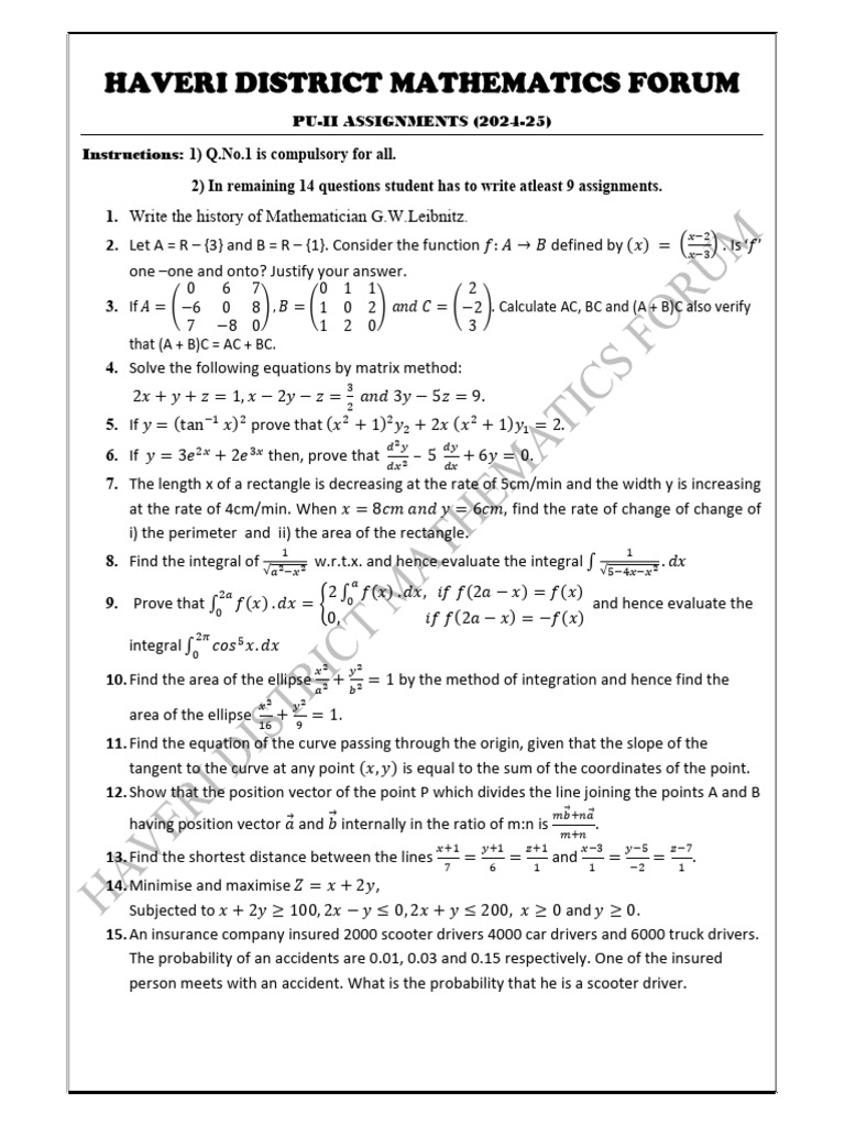 Mathematics Assingment 24-25 | PDF | Ellipse | Function (Mathematics)