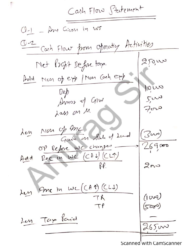 12 Cash Flow Basic WS sol_watermark | PDF