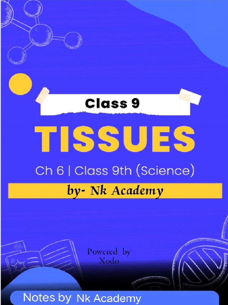 Class 9th Biology Plant Tissue | PDF