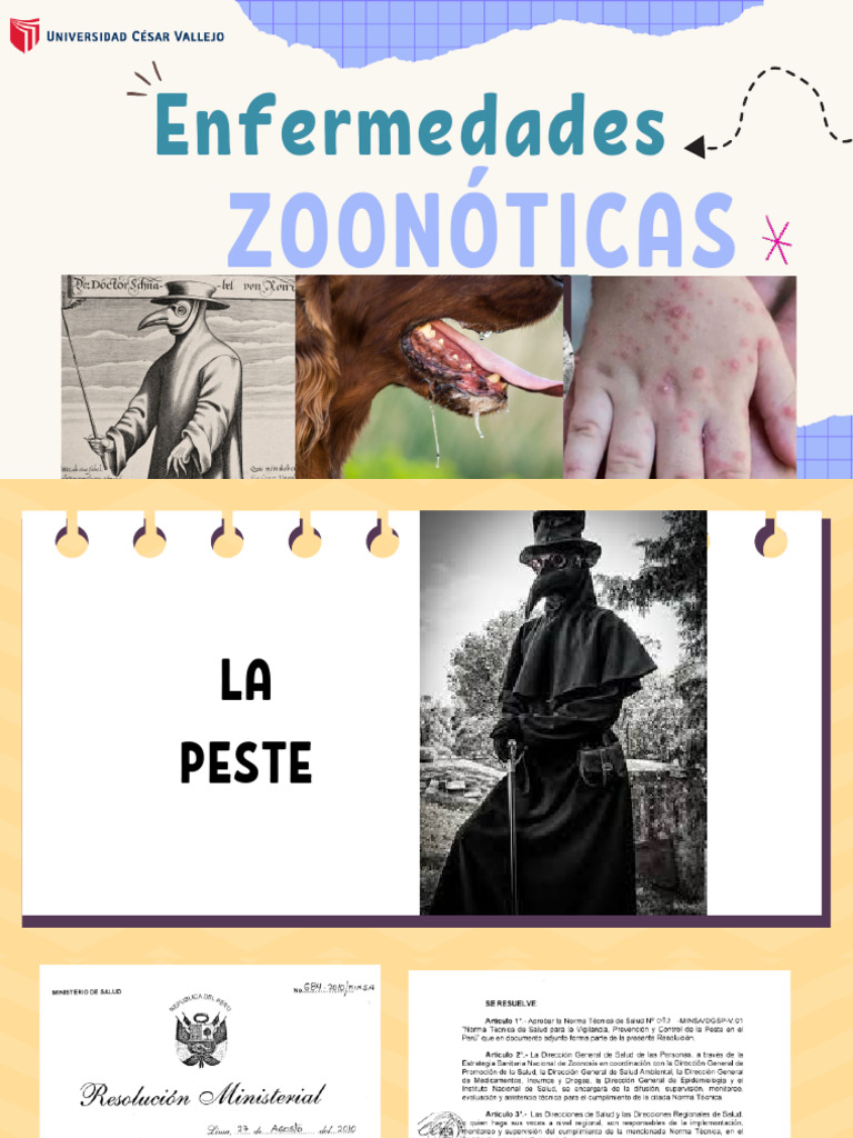 1.2. Diapos epidemiología | PDF | Peste (enfermedad) | Rabia