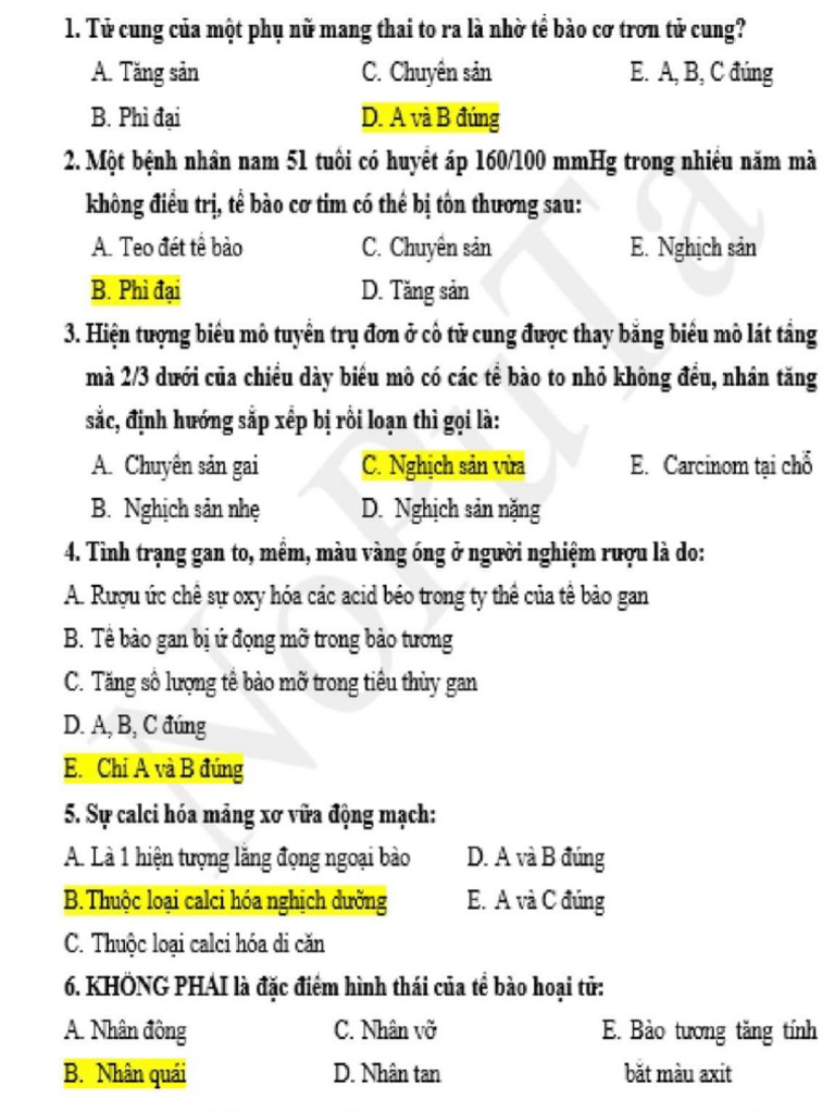 Ôn Tập Trắc Nghiệm GPB (Lý Thuyết) | PDF