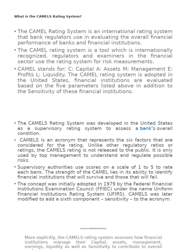 CAMELS Rating System | PDF | Interest | Private Sector
