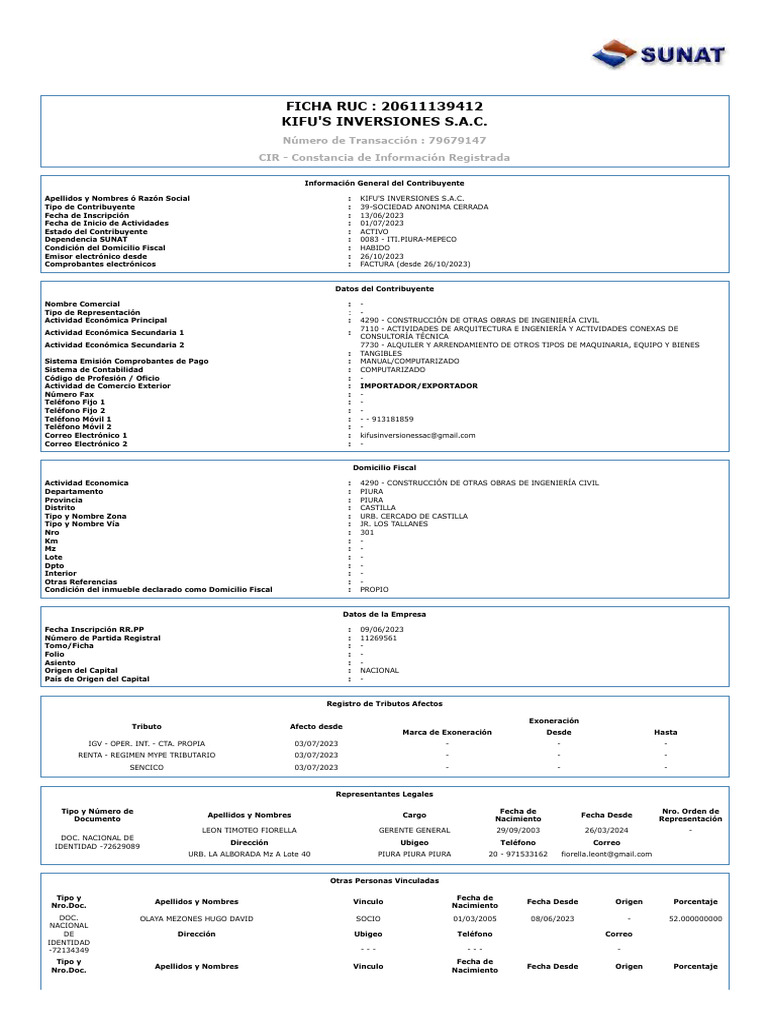 FICHA RUC_05122024 | PDF