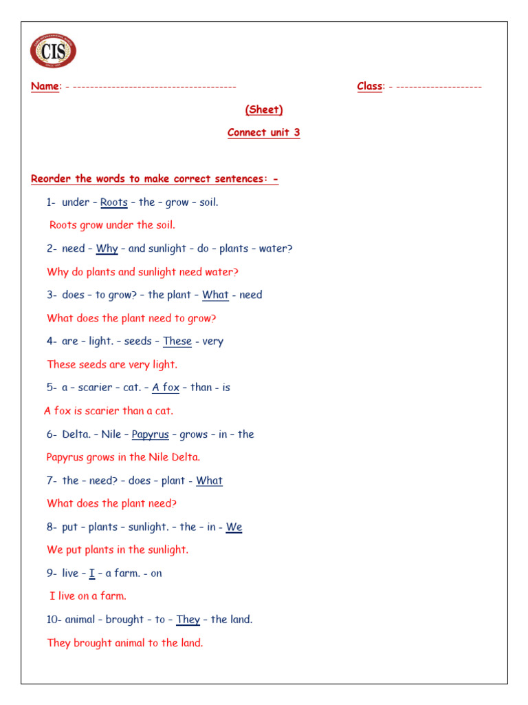 Connect Unit 3 Sheet 4 Answers | PDF