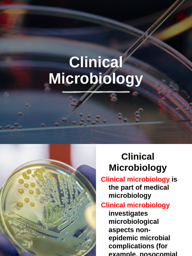 Clinical Microbiology MLT | PDF | Medical Microbiology | Microbiology