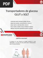 Transporte de glucosa: GLUT y SGLT | PDF | Proteínas | Carbohidratos
