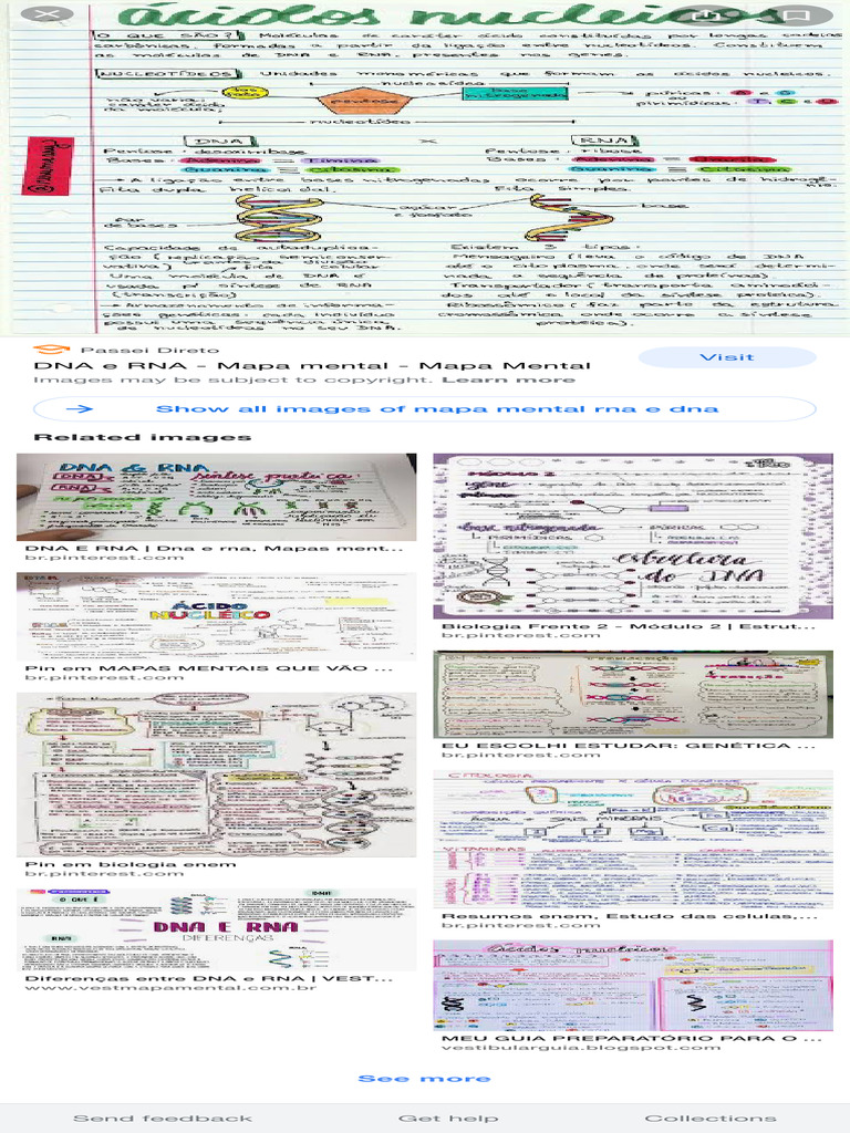 mapa mental rna e dna - Google Search | PDF | RNA | DNA