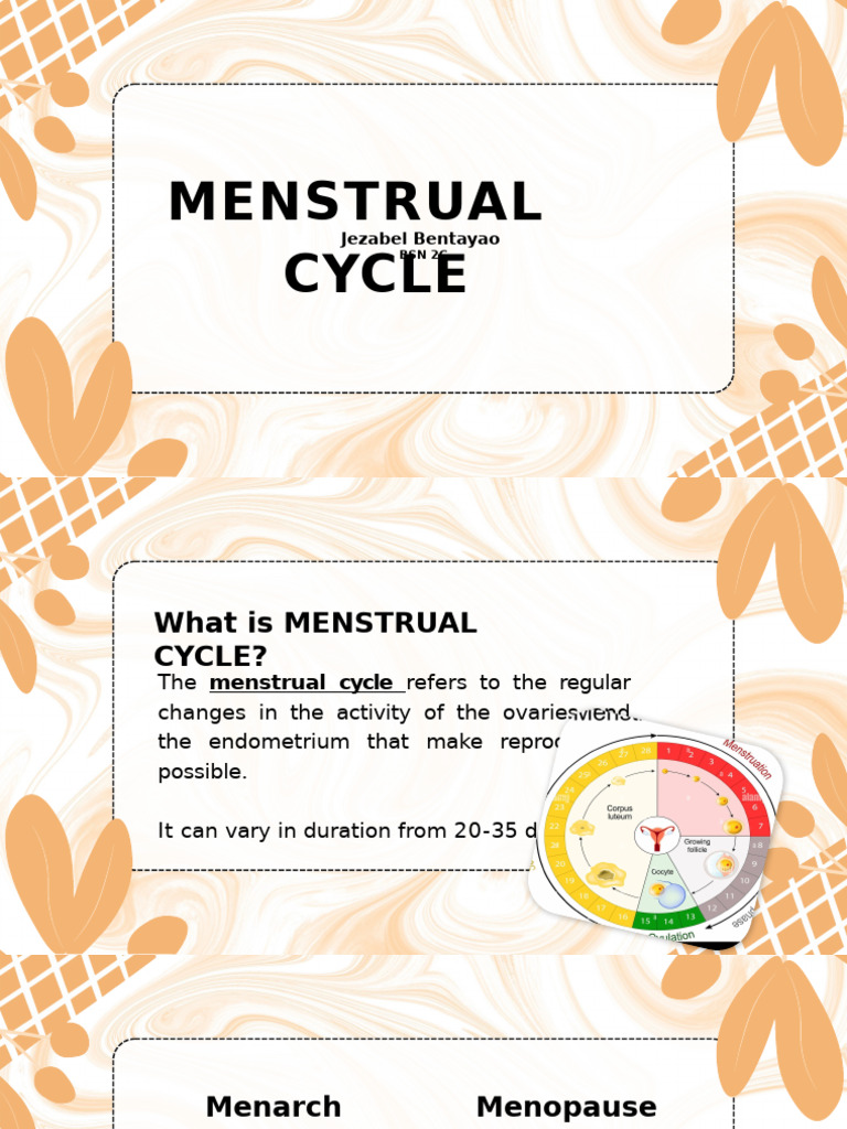 Menstrual Cycle | PDF