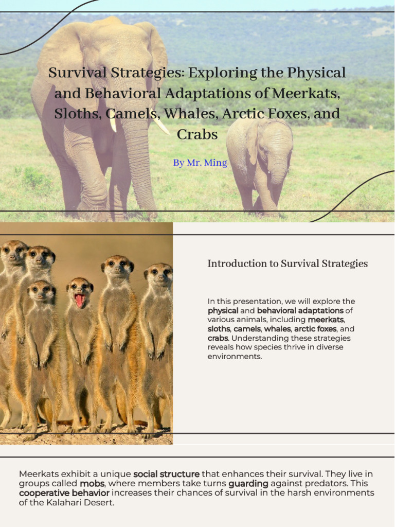 Survival Strategies Exploring The Physical and Behavioral Adaptations ...