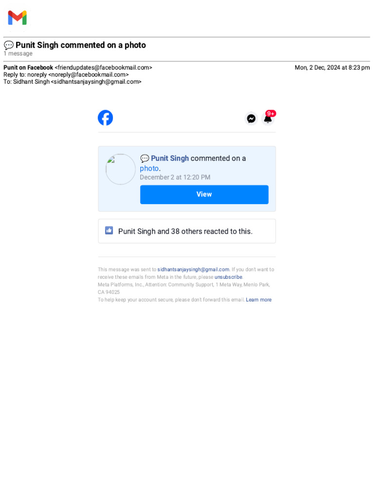 Gmail - ? Punit Singh Commented On A Photo | PDF