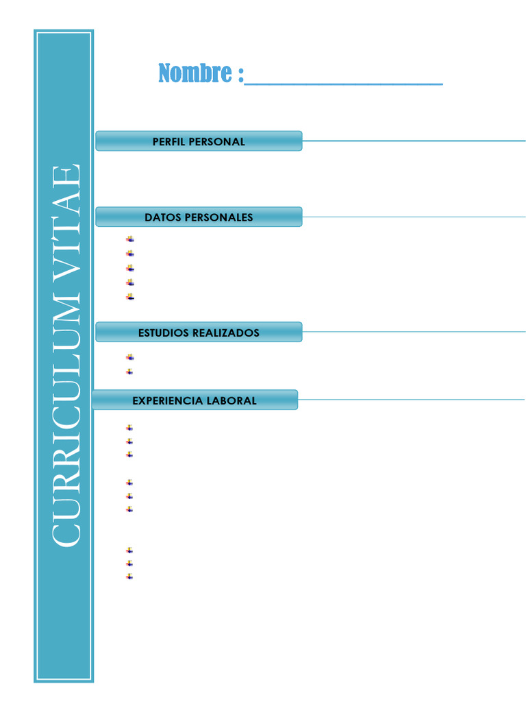 CV - en Blanco | PDF