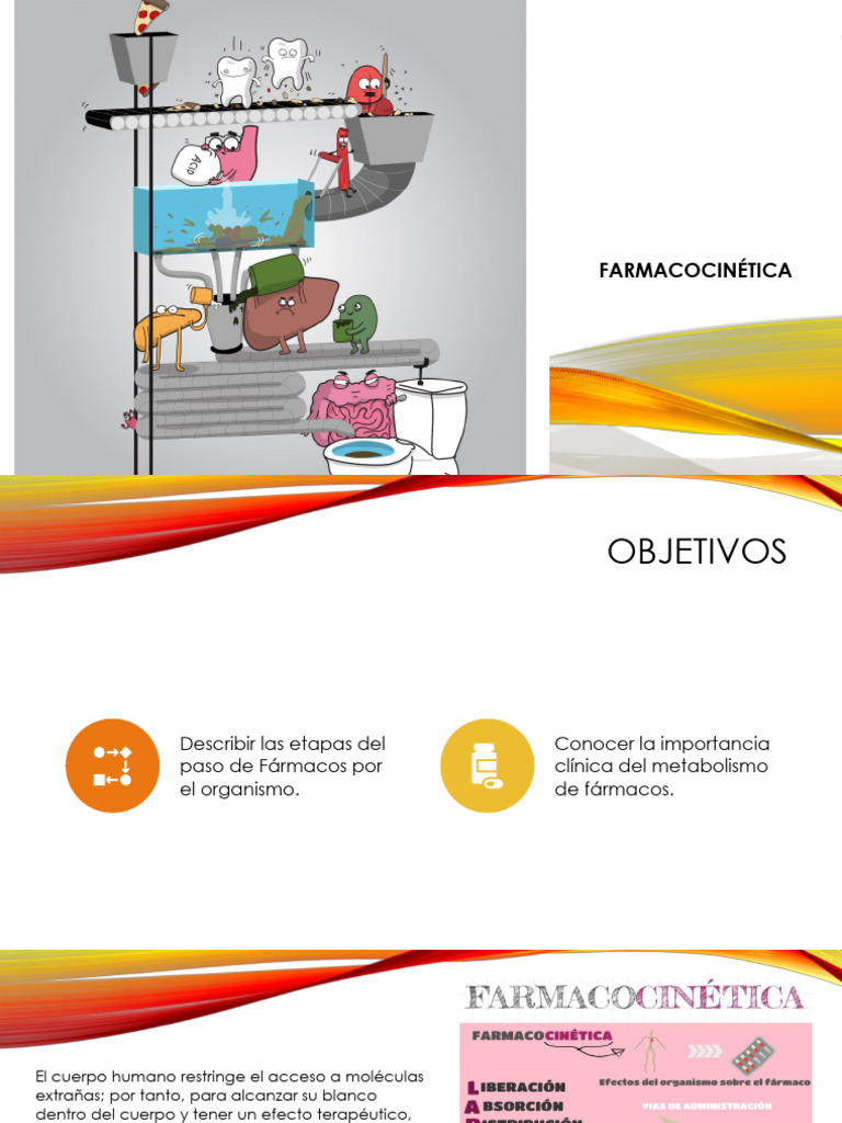 Tema+3.1_Farmacocin%C3%A9tica | PDF | Medicamentos con receta ...