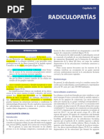 Compresion Radicular. | PDF | La columna vertebral | Sistema ...