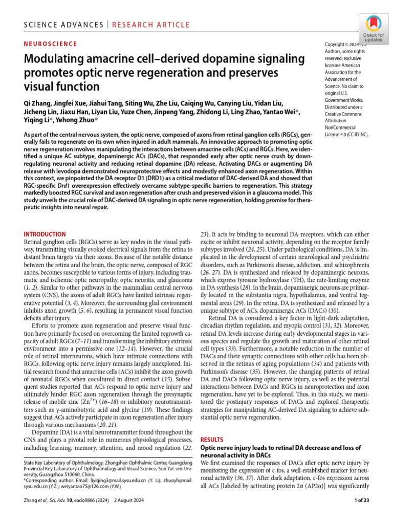 sciadv.ado0866 | PDF | Retina | Neuron
