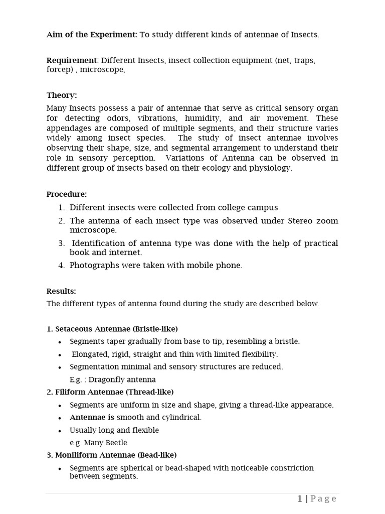 Insect Antenna Types and Functions | PDF | Insects | Beetle