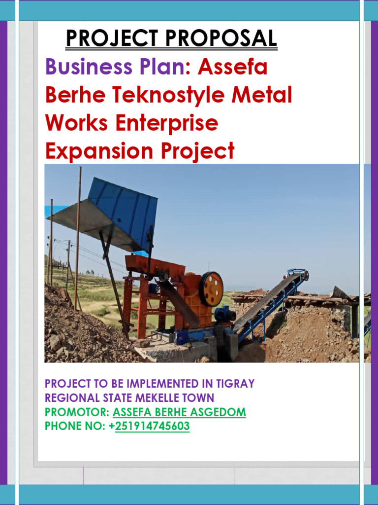 ASSEFA BERHE.Business Plan | PDF | Marketing | Pricing