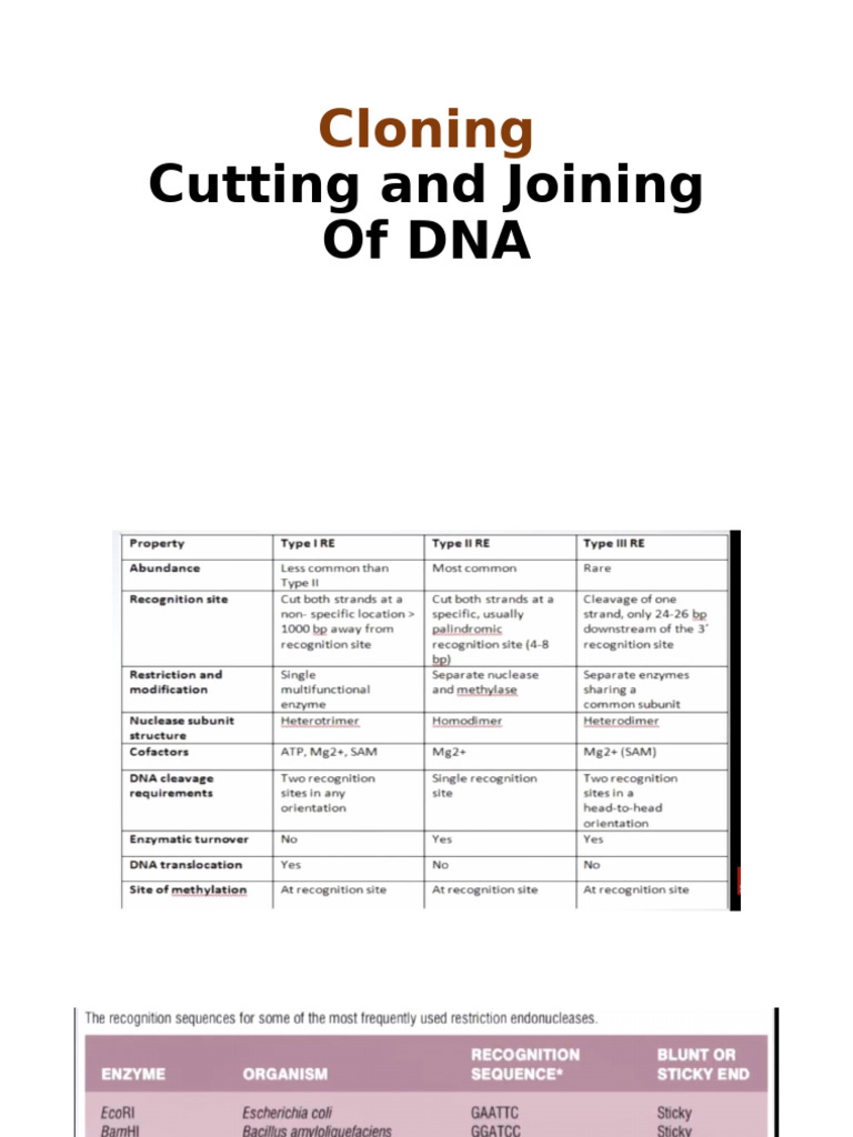 Cloning - Cutting and Joining of DNA | PDF