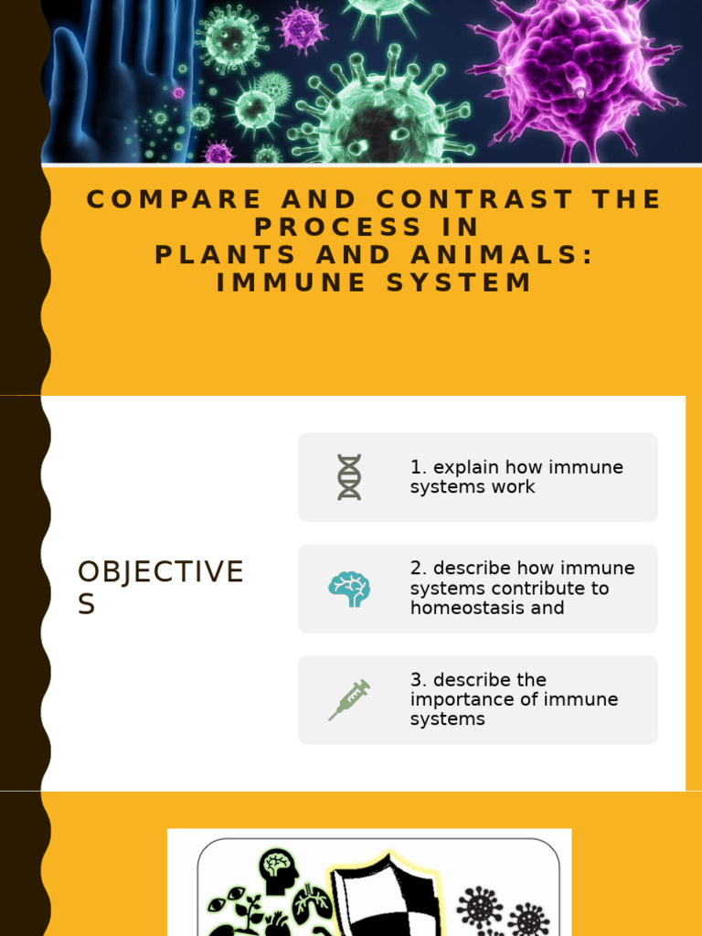 Lesson 8 Immune System | PDF | Immune System | Adaptive Immune System