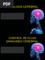 GHOST-CAP en Cuidados Neurocríticos | PDF | Hipertensión | Presión ...