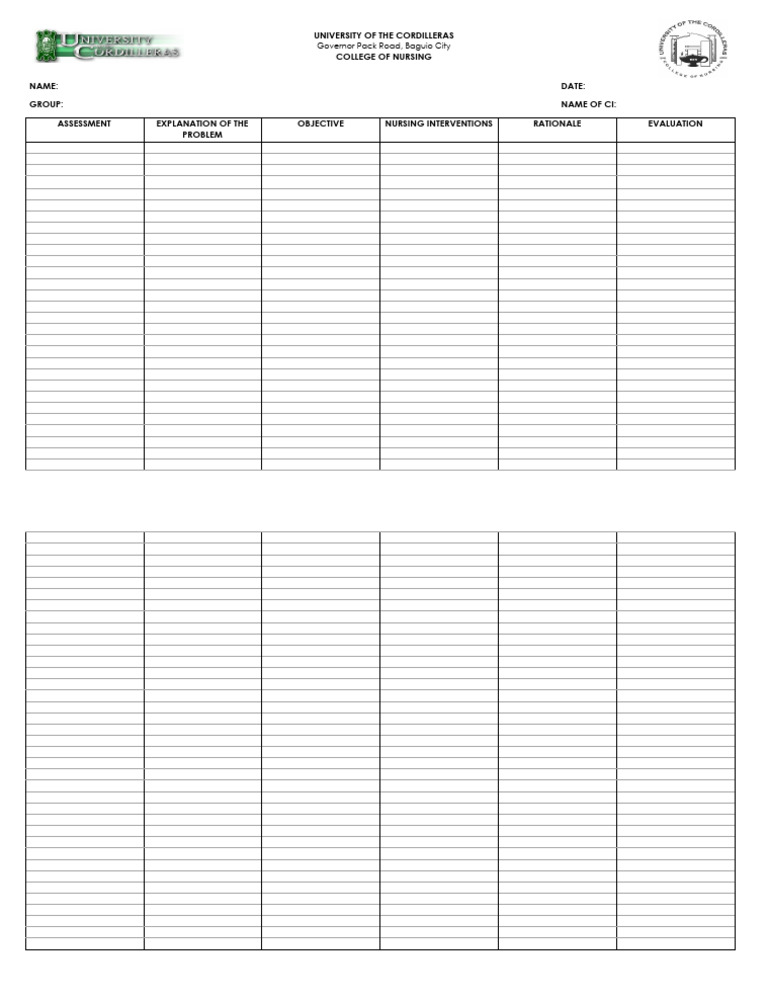 Nursing Assessment Template Guide | PDF