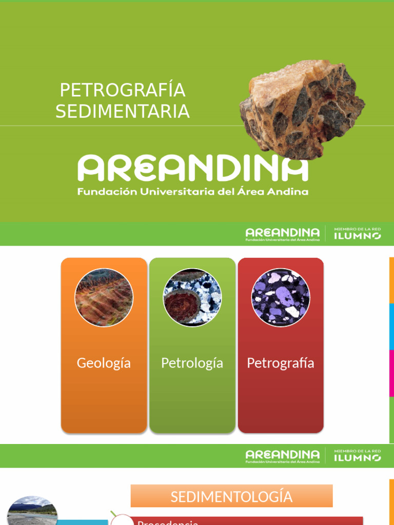 PETROGRAFÍA SEDIMENTARIA (1) | PDF | Roca sedimentaria | Roca (geología)