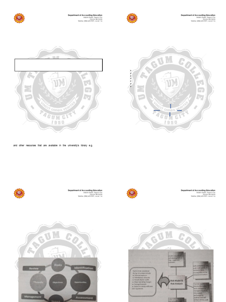 ELECTIVE | PDF | Internal Control | Risk