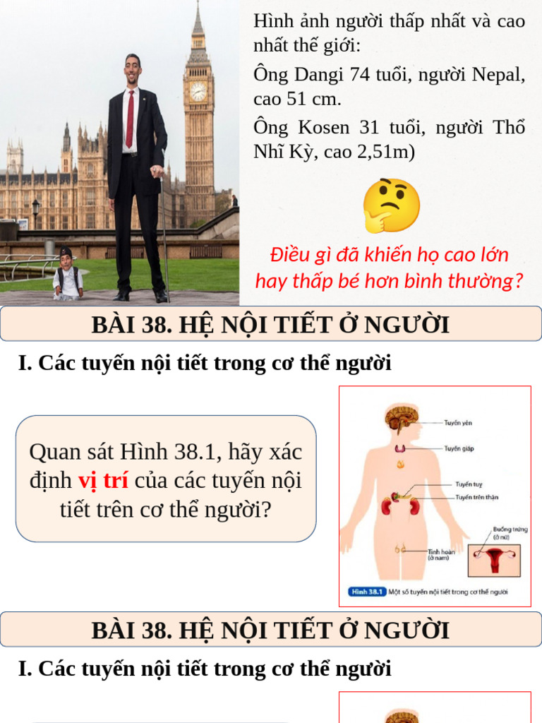Bai 38. He Noi Tiet | PDF