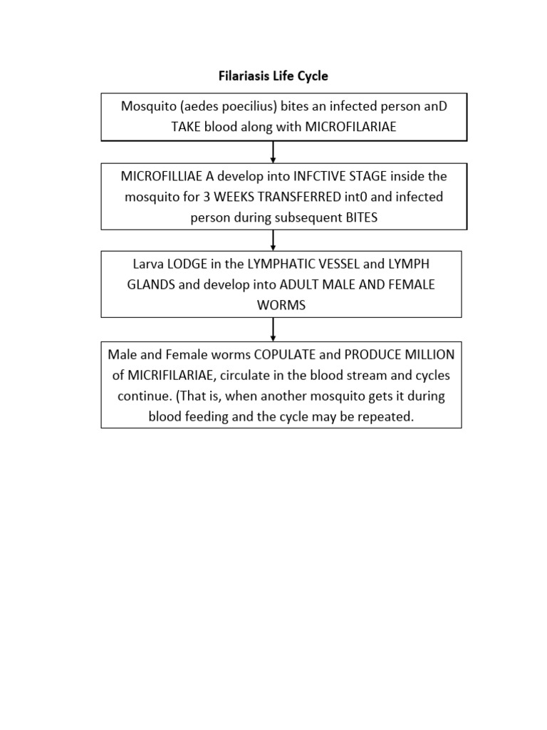 Filariasis Life Cycle | PDF