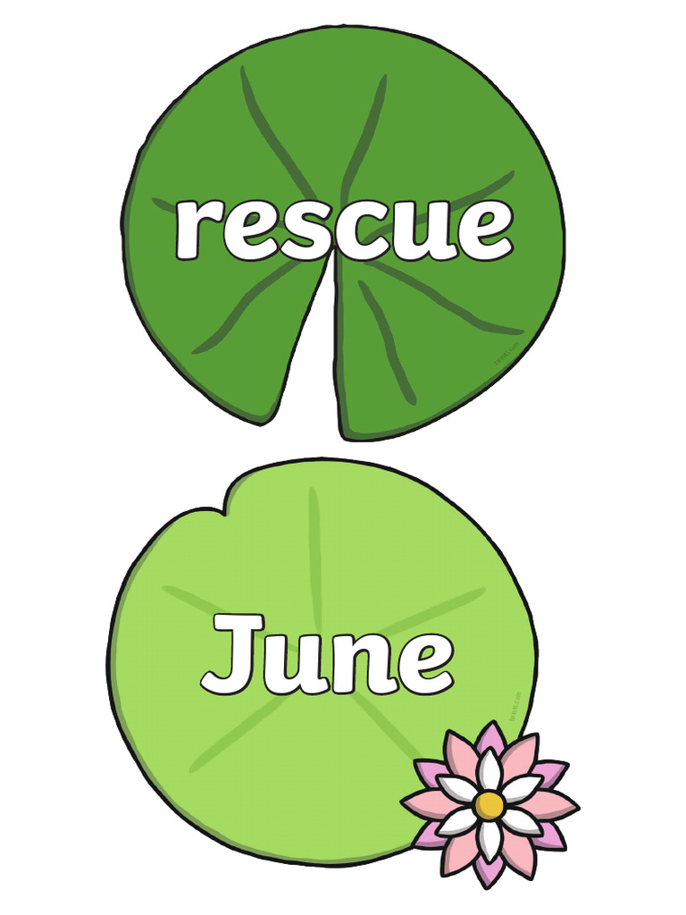 Pack 4 Session 2 Lily Pad Leap Cards | PDF