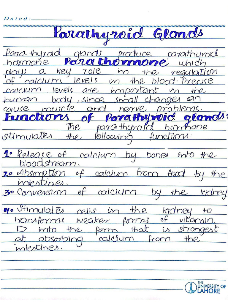 biochem assignment 2 | PDF