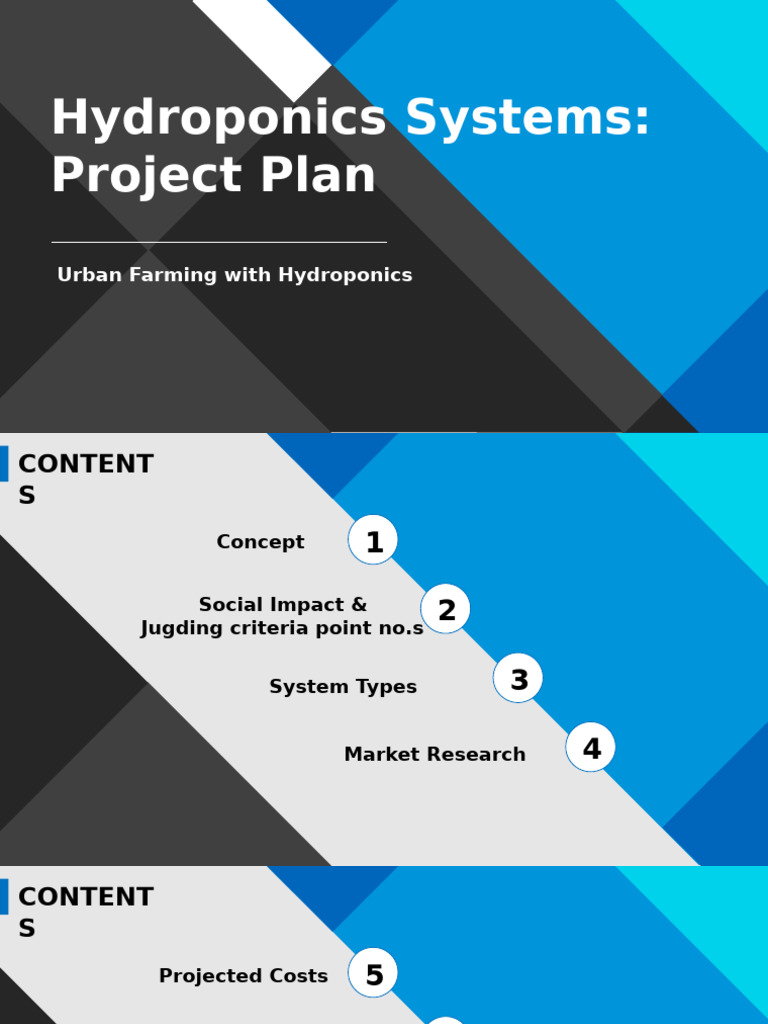Urban Hydroponics Project Plan | PDF | Hydroponics | Agriculture