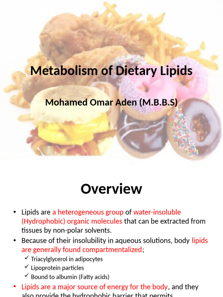 Metabolism of Dietary Lipids | PDF | Lipoprotein | Lipid