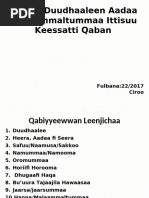 Xalayaa Iyyannoo | PDF