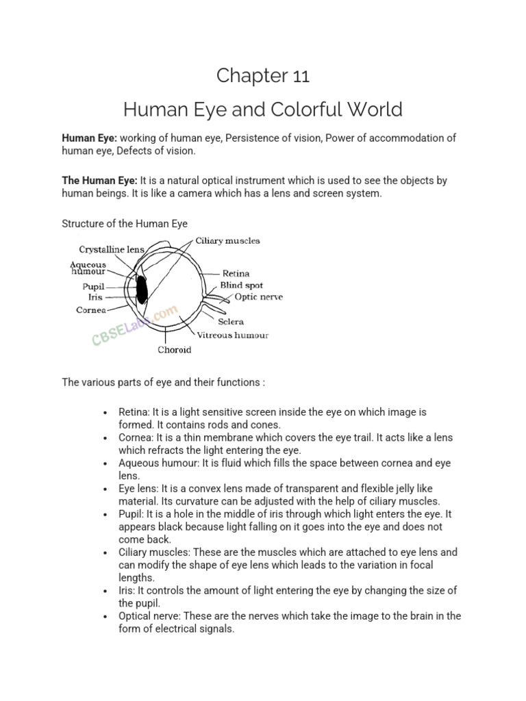 human eye and the colourful world | PDF | Eye | Human Eye