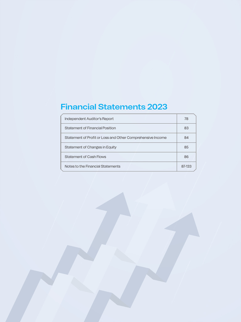 Audited Financial Statements_0 | PDF | Going Concern | Financial Statement