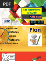 Assertions D'audit | PDF | Bilan comptable | Passif (comptabilité)