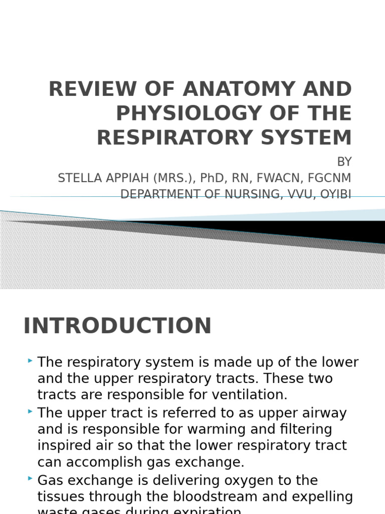 Lecture 3 Anatomy and Physiology of The Respiratory System | PDF ...