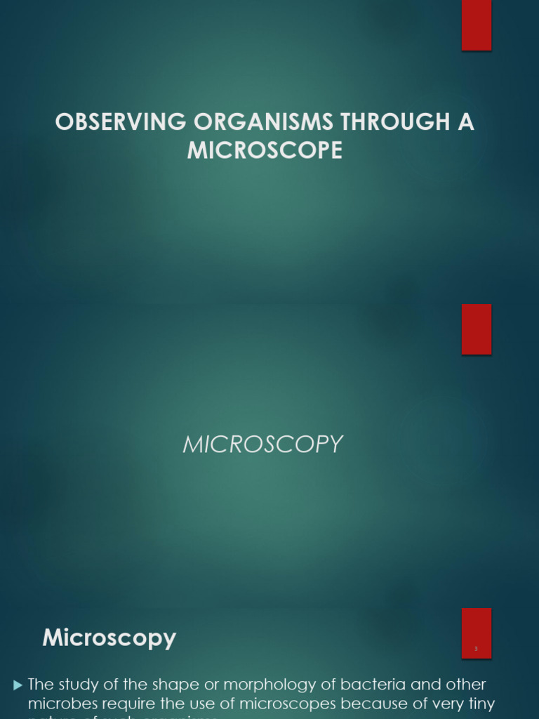MICROBIOLOGY AND INFECTION PREVENTIONCONTROL 3- VVU | PDF | Staining | Microscope