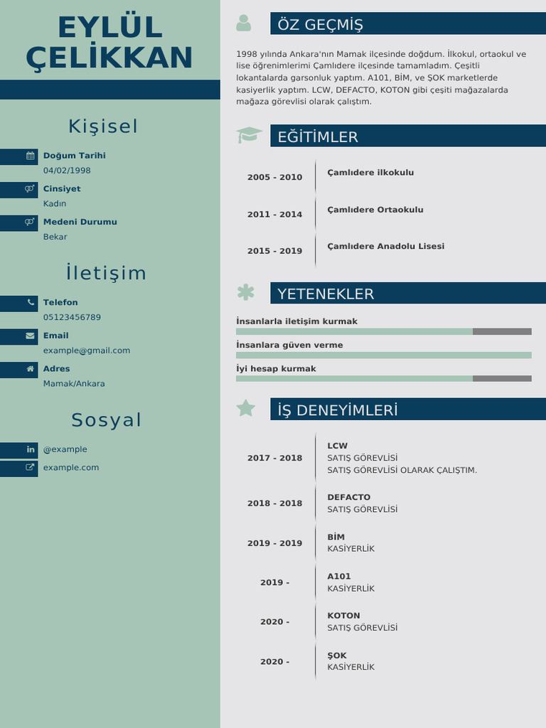 Örnek CV 8 cv8-3 | PDF