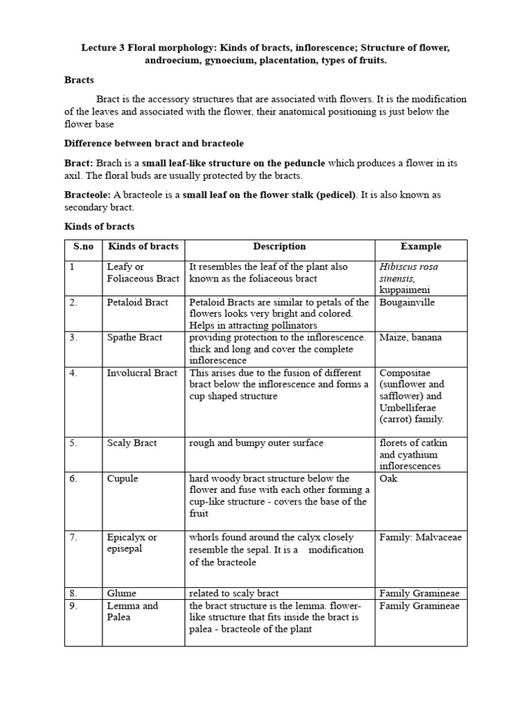 lec 3 BRACTS | PDF | Flowers | Plant Reproduction