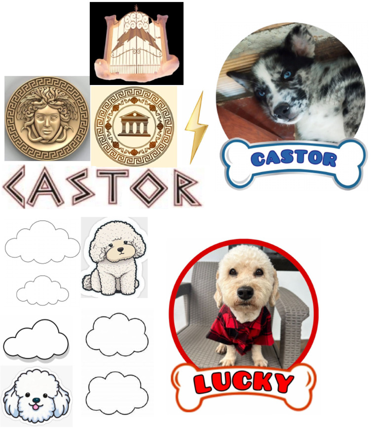 Castor | PDF