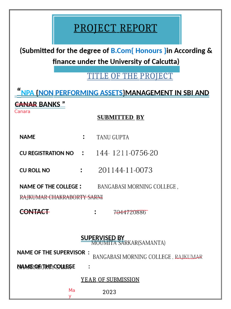 Project Report: Title of The Project | PDF | Banks | Personal Finance