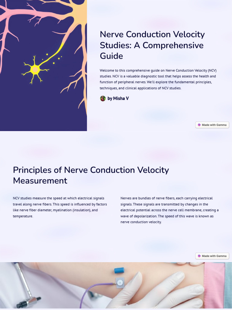 Nerve Conduction Velocity Guide | PDF | Nerve | Neuroscience