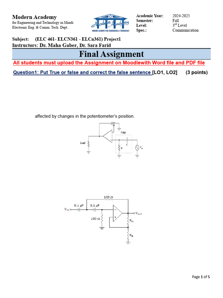 Final Assignment Template 2024-2025 | PDF | Electronic Oscillator | Amplifier