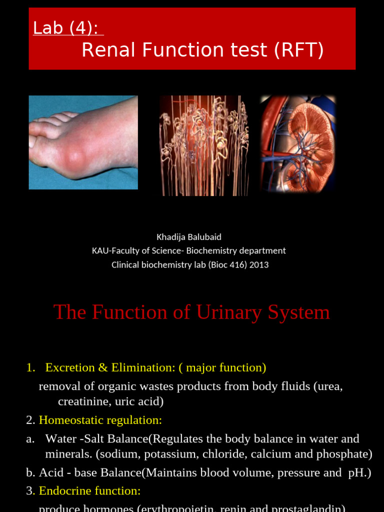 Kidney Function Test | PDF | Kidney | Organ (Anatomy)
