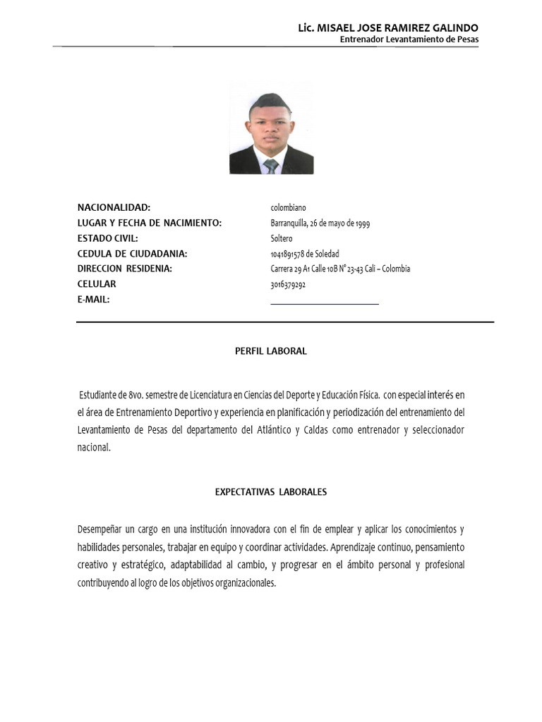 Hoja de Vida - Misael Ramirez | PDF